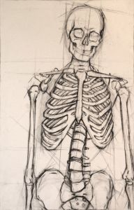 grid drawings – Art With Korb